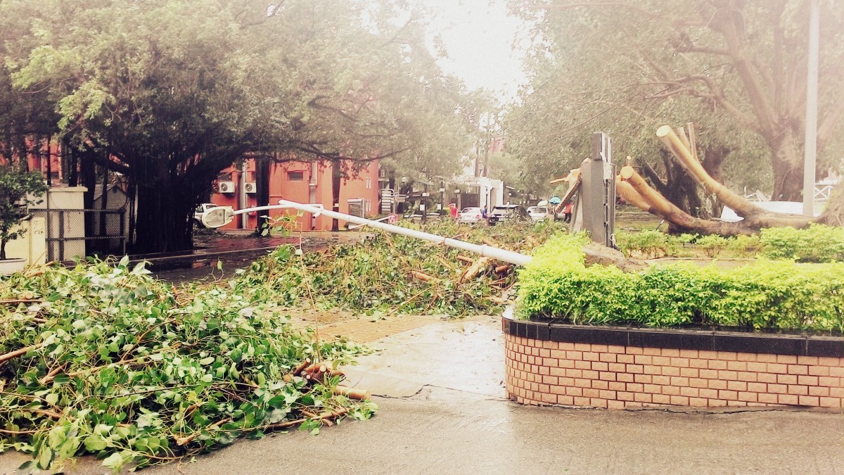 A Typhoon Poem – grexxen